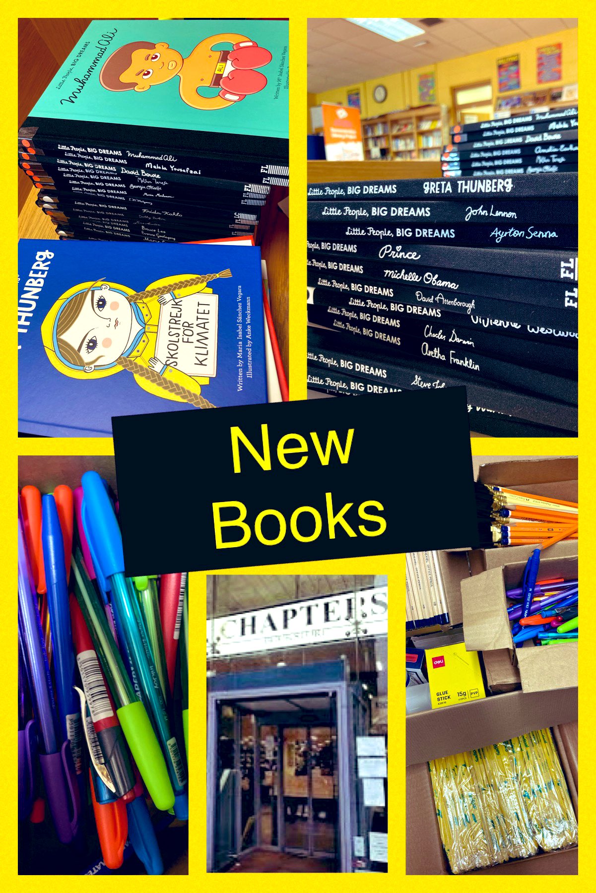 JCSP Library LCC 🇮🇪 on Twitter: "Lots of new books today! 🤩The #LittlePeopleBigDreams biography ...