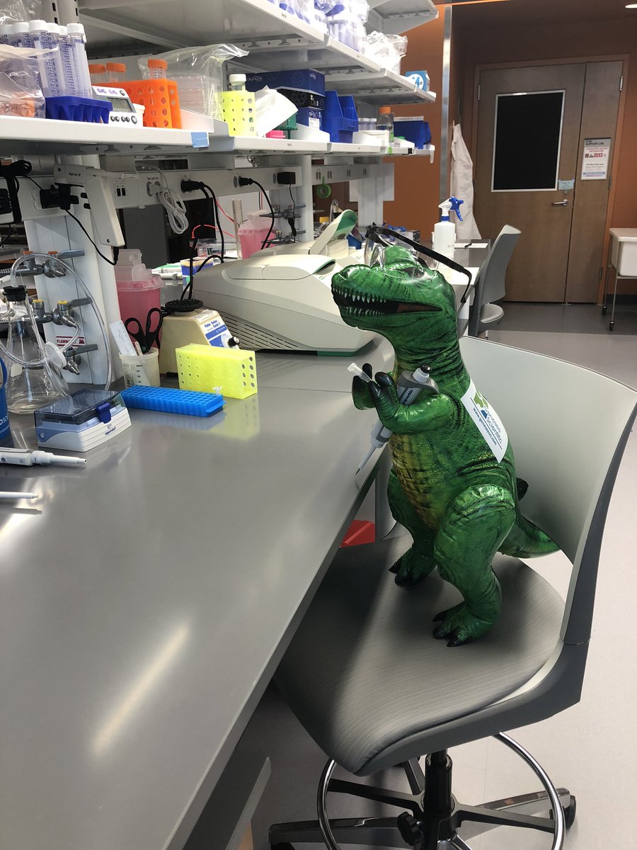 The Baldwin Lab (@BaldwinLab) | Twitter