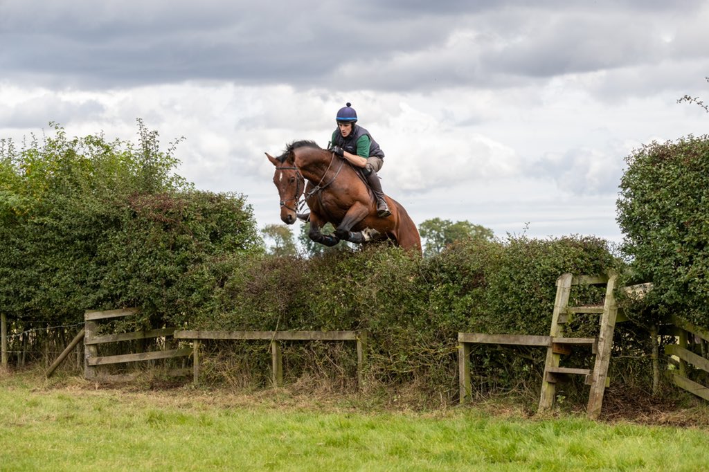 Kevin Owens 🇬🇧 Ⓜ️🥛🐄🧀🐑 on Twitter: "Ross Chapman @ The Belsay Bounce #rosschapman #horse #pony # ...