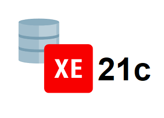 Oracle Database 11g Logo