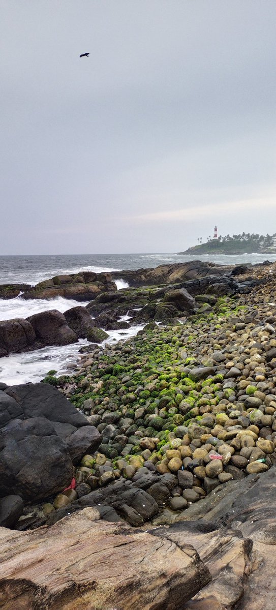 Ananthu V Dev (@Ananthuvdev) | Twitter