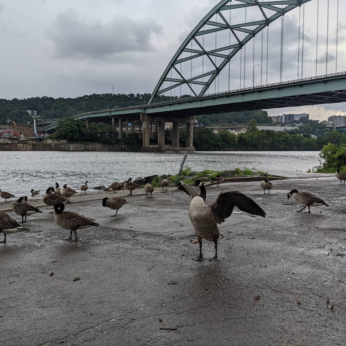 Saad Hafeez (@SaadHafeez4996) | Twitter