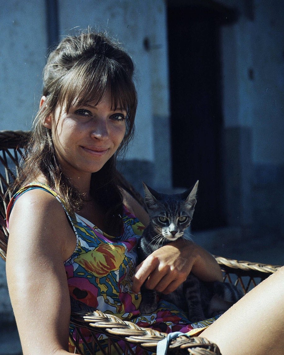 MUBI Türkiye on Twitter: "İyi ki doğdun Anna Karina! https://t.co/C218sJpclc" / Twitter