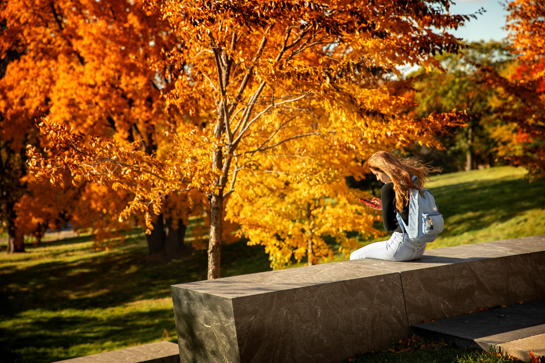 Cornell University Fall