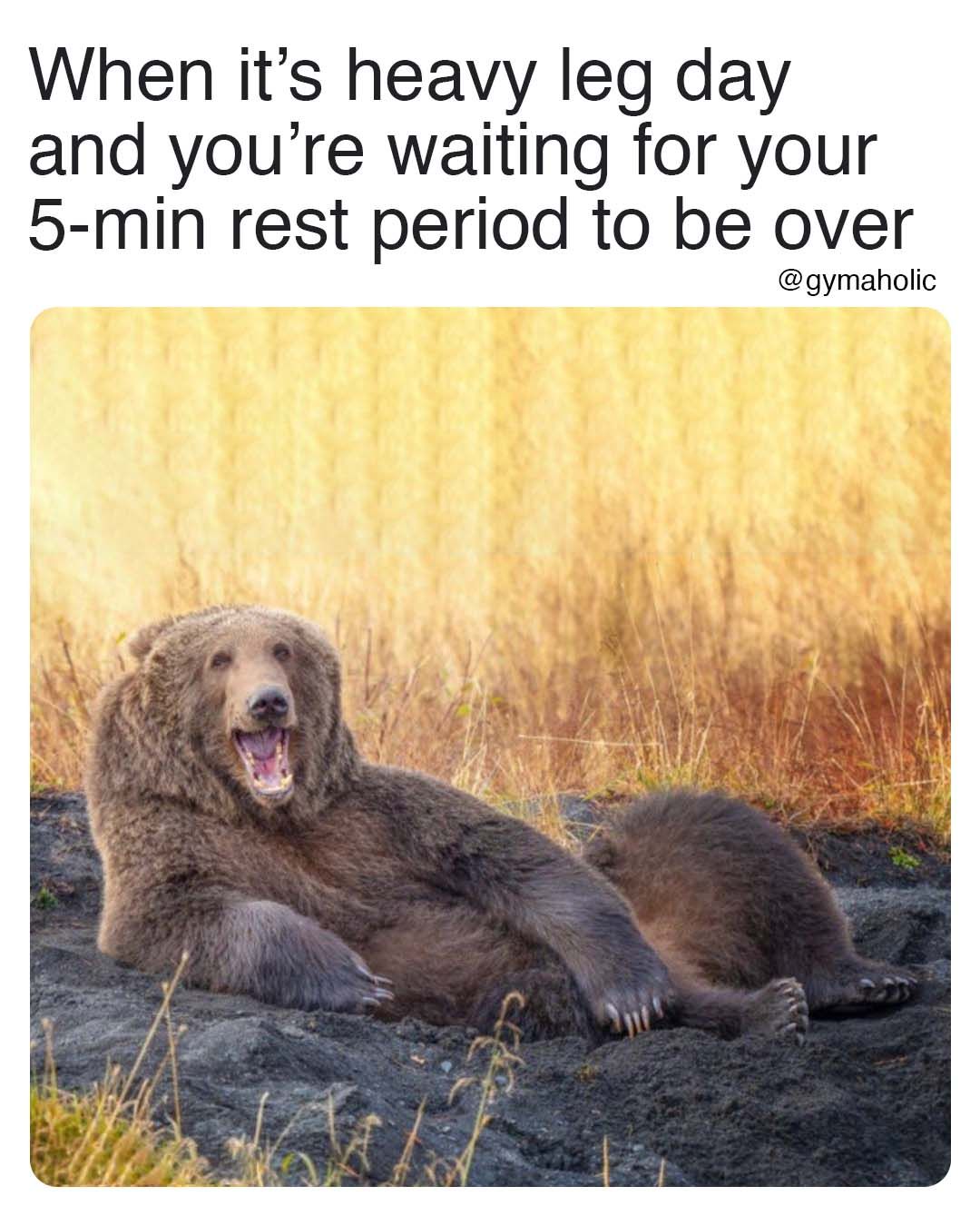 Leg Workouts Memes Gym Memes Never Skip Leg Day. Ever. | Facebook