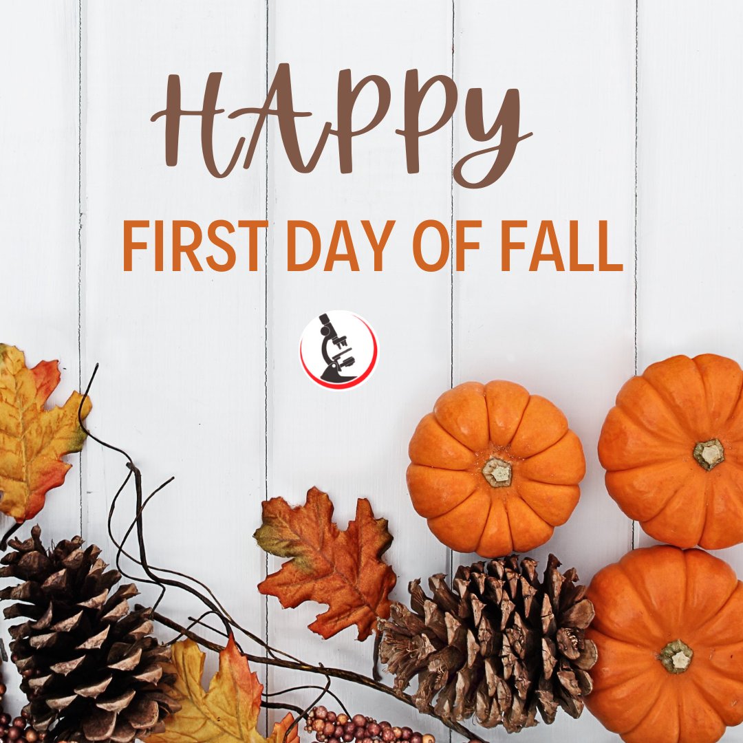 First Day Of Fall Clipart