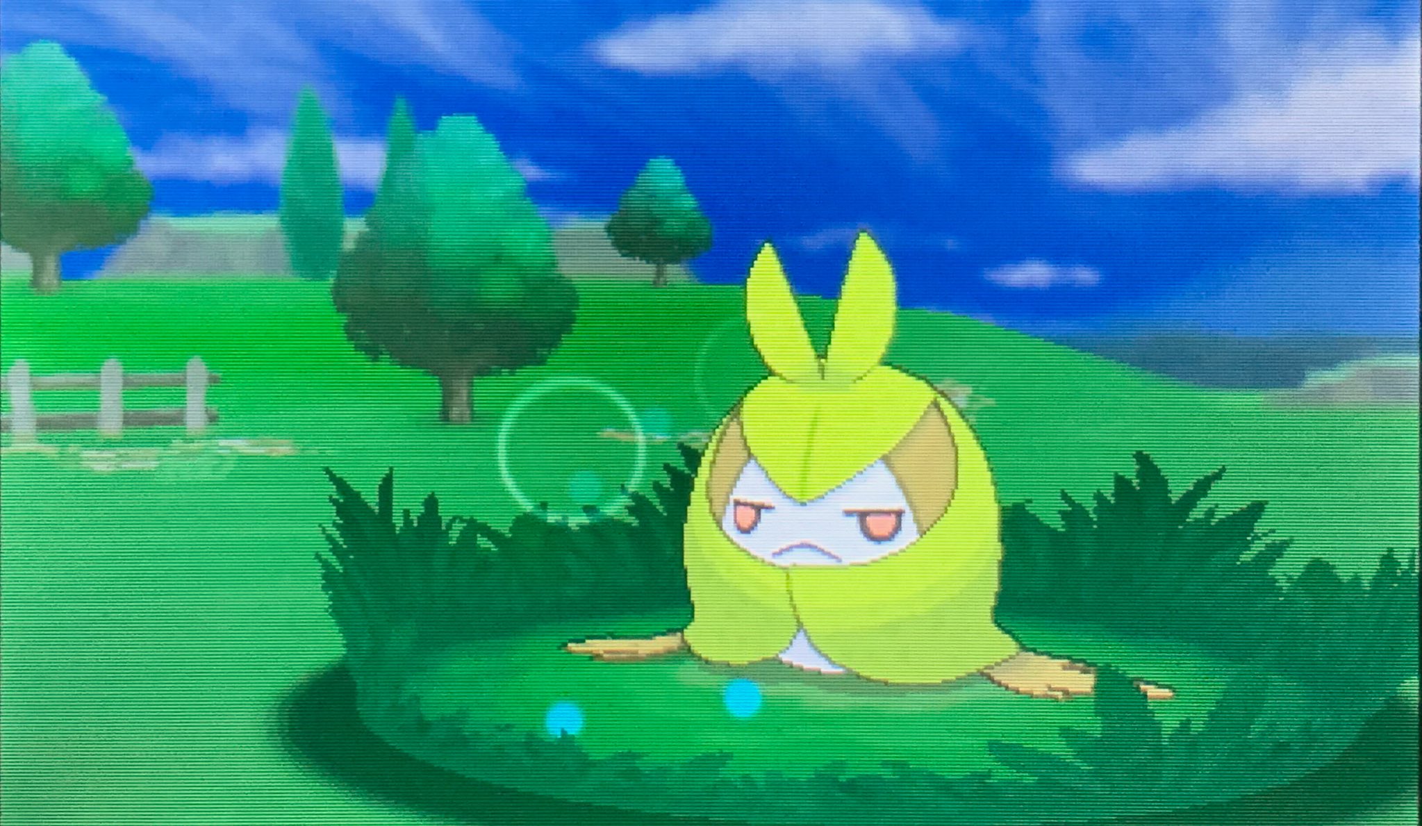 Swadloon Gif