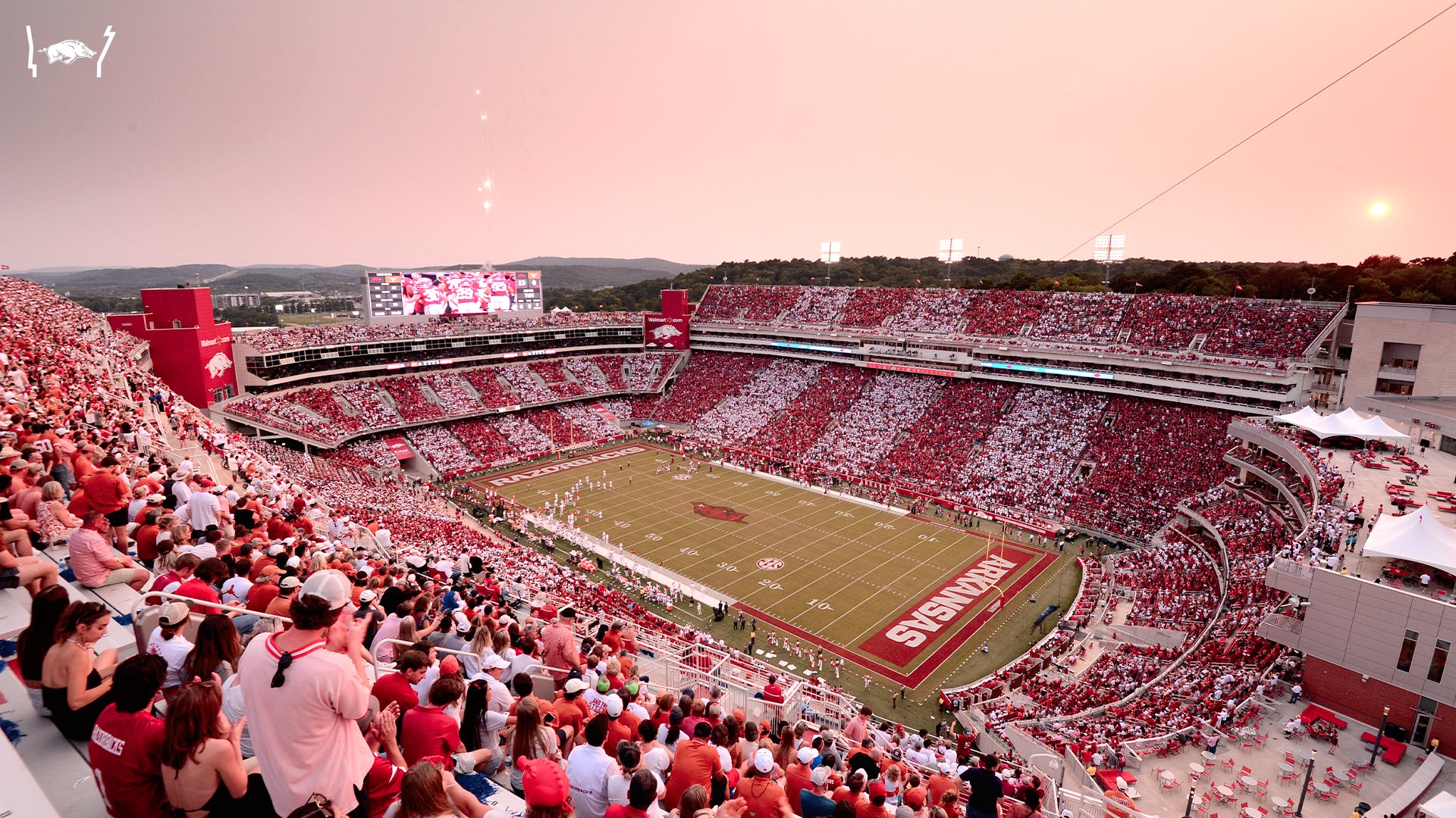 Razorback Desktop Wallpaper