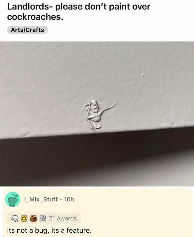 Euda (@euda_ar) | Twitter