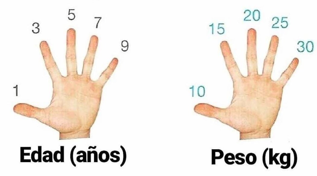 Si puño Movilizar peso y regla Anticuado Copiar Deliberadamente