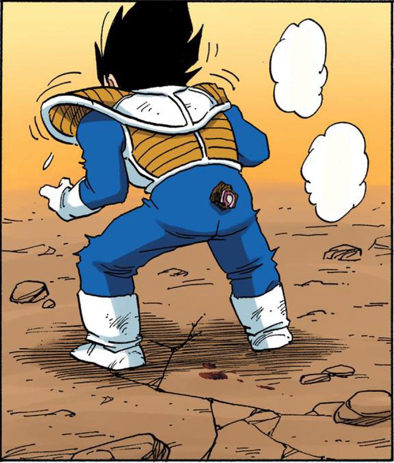 Vegeta Normal State