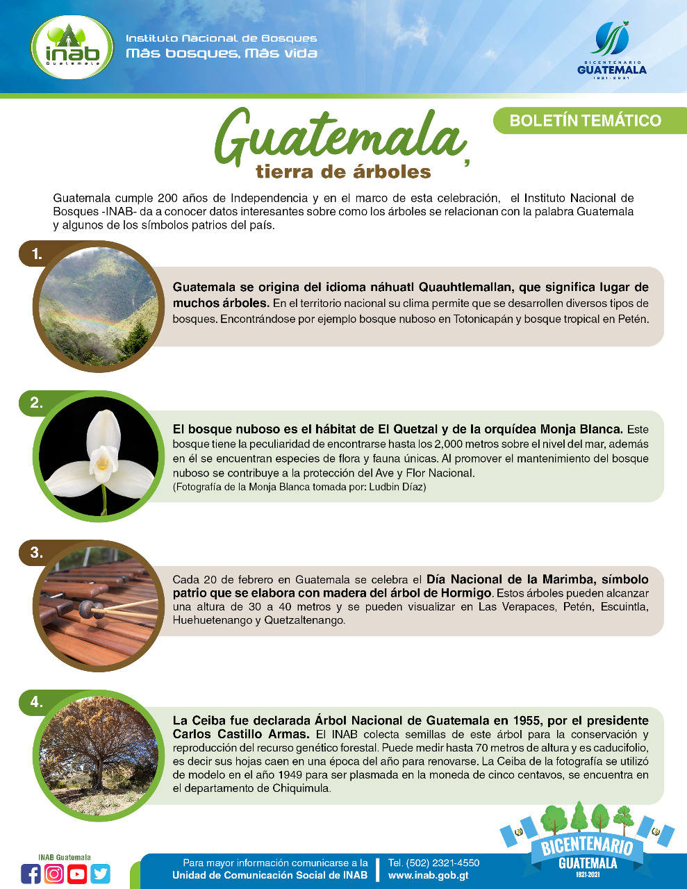 Los Simbolos Patrios Y Sus Significado Kulturaupice Sexiz Pix