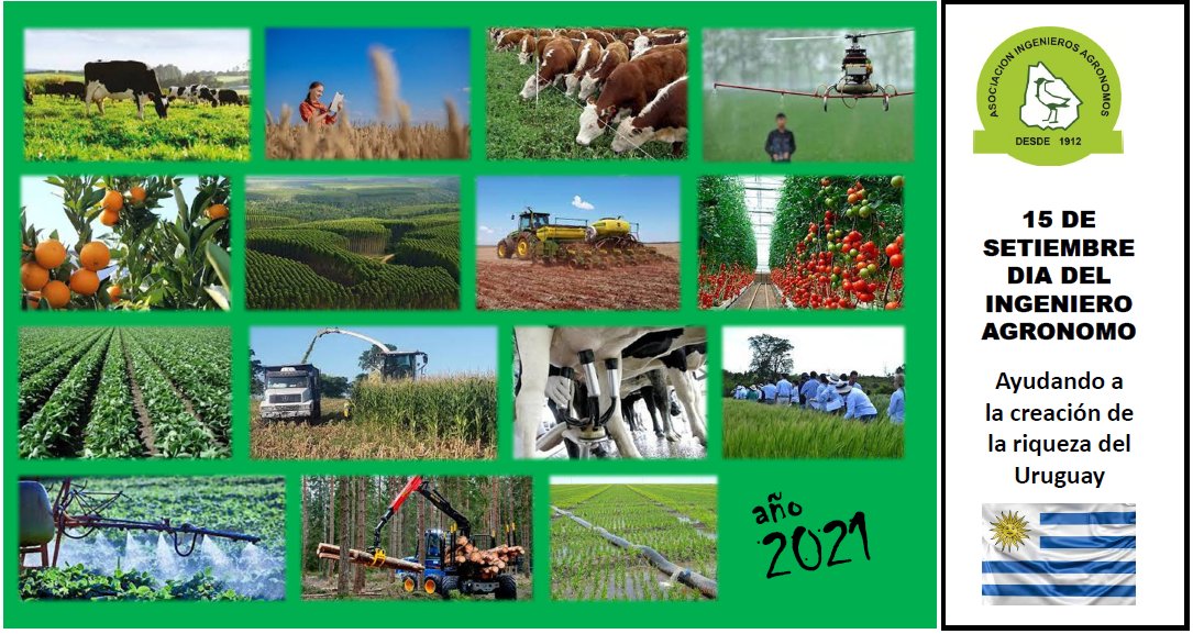 Grisel Moizo (@GriselMoizo) | Twitter