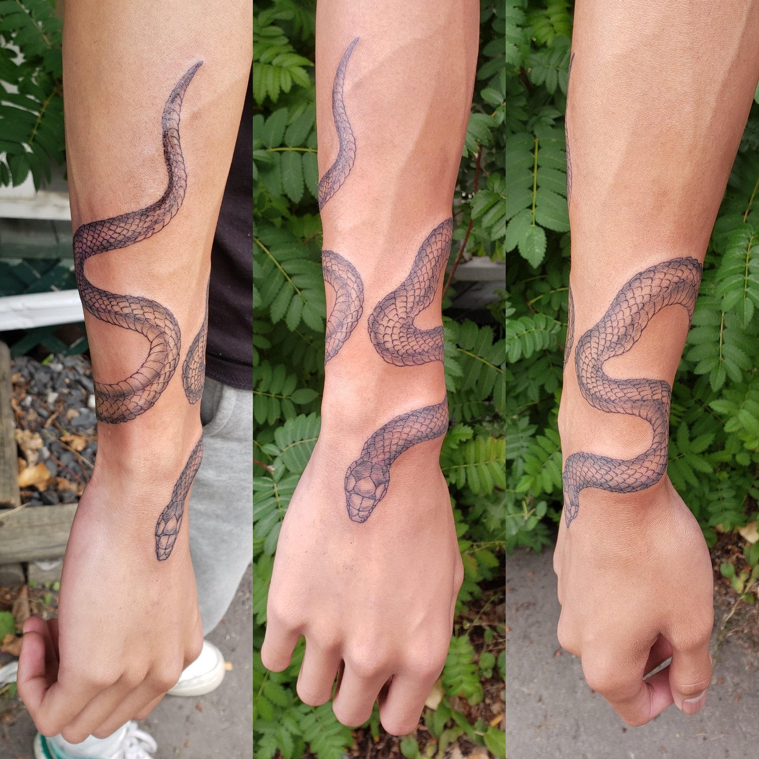 Snake Wrapping Tattoo