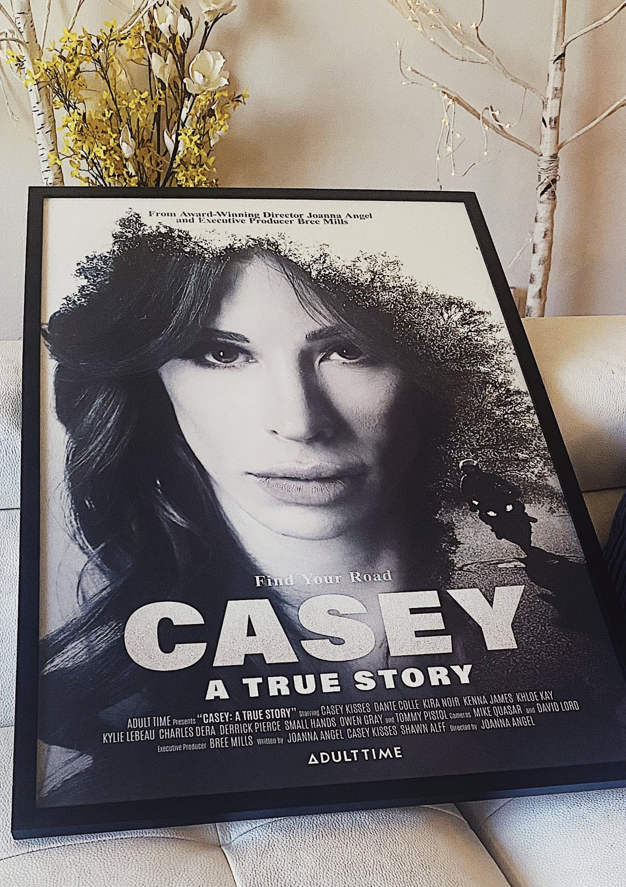 Casey Kisses ♡ On Twitter This Is Soooo Heckin Cool Thank U Kylielebeau And Adulttimecom For
