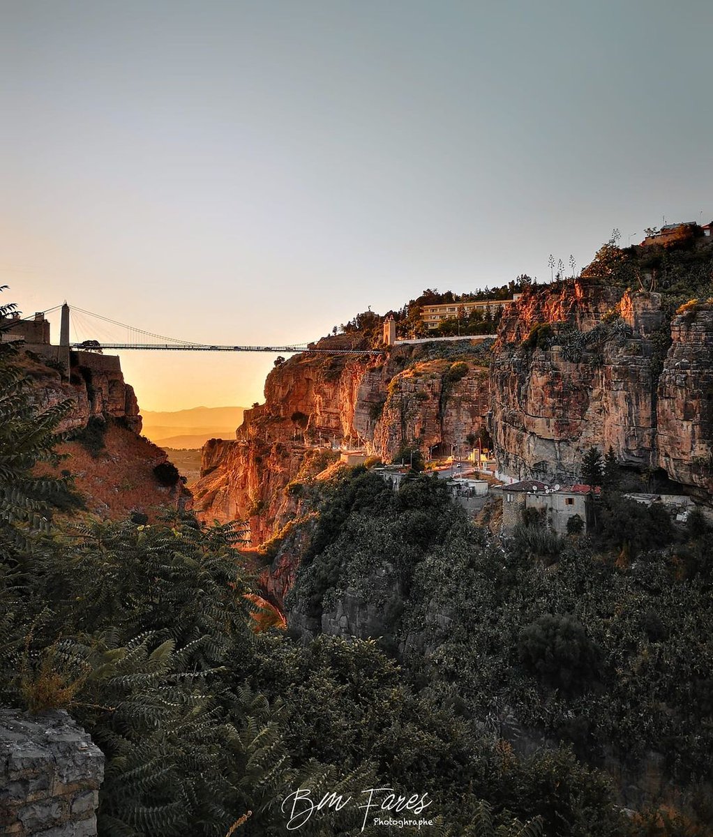 Sofiane Ch🇩🇿 (@Sofiane_Ch25) | Twitter