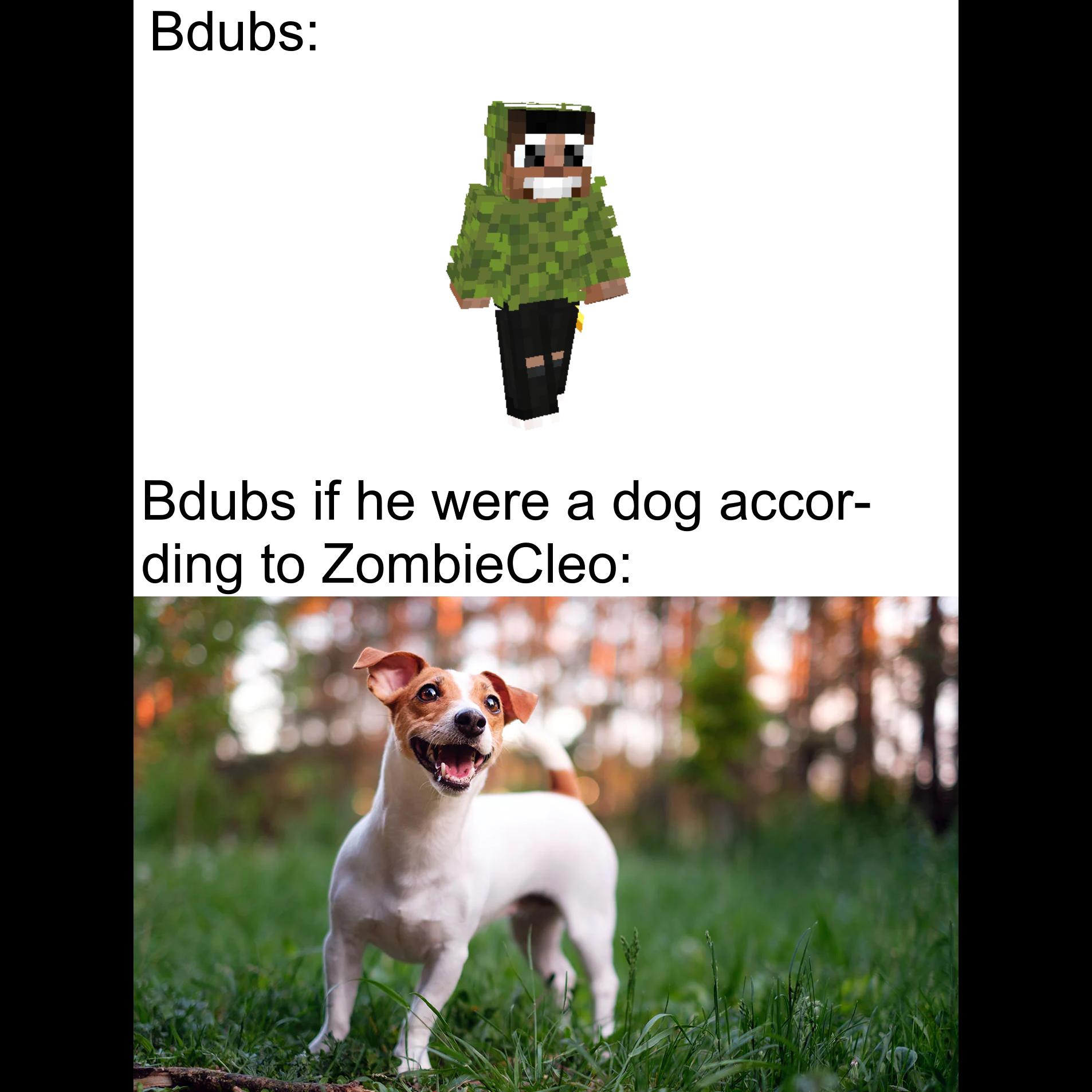 Memes Of Bdubs