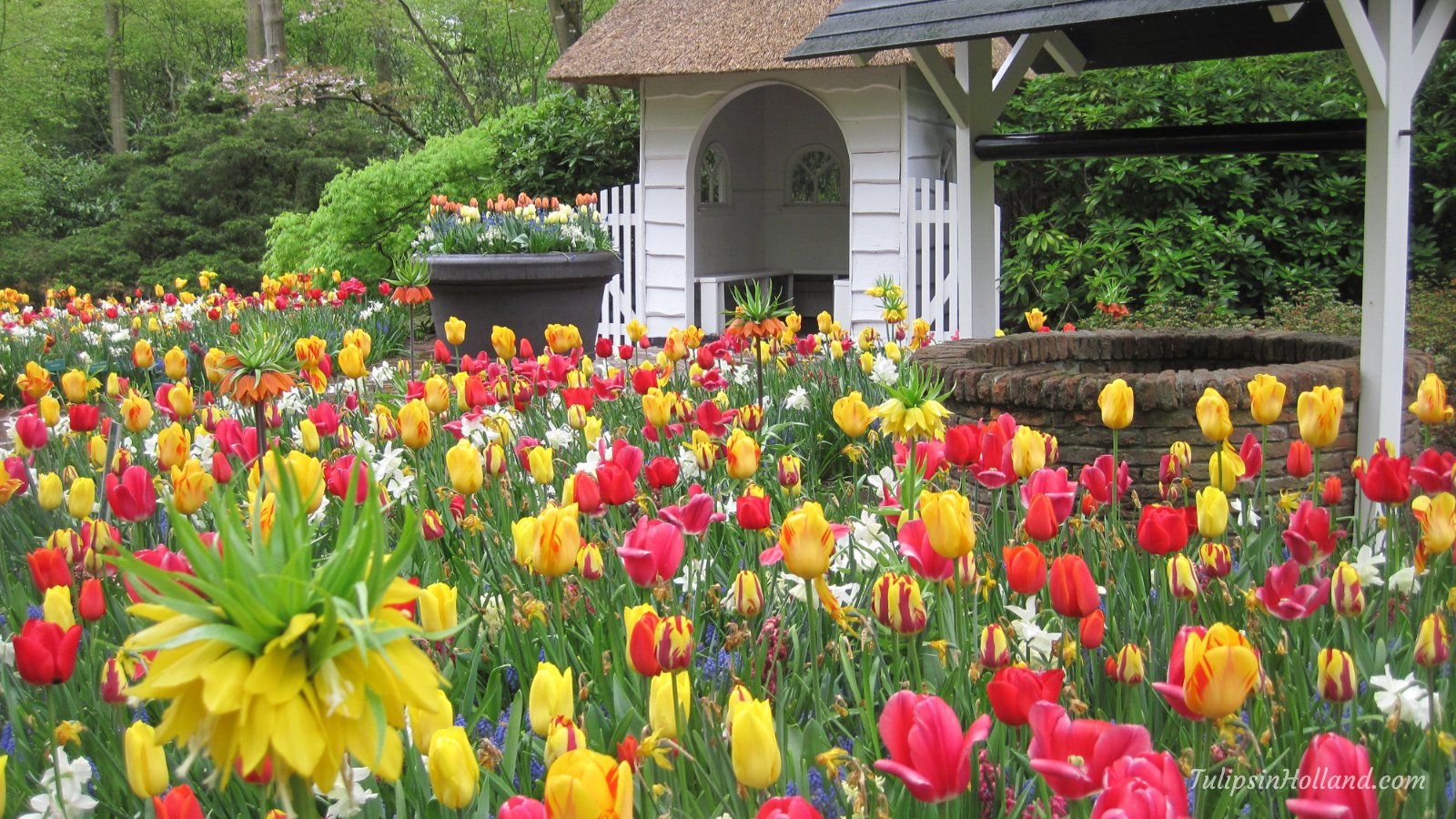 First Day Of Spring 2022 Countdown