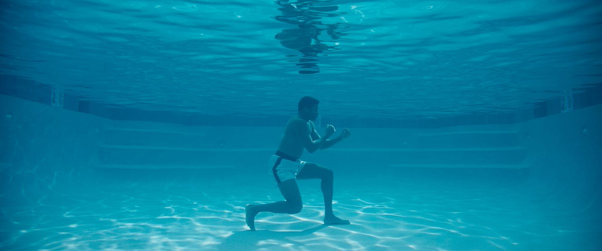 Criterion Collection's Threads – Thread Reader App