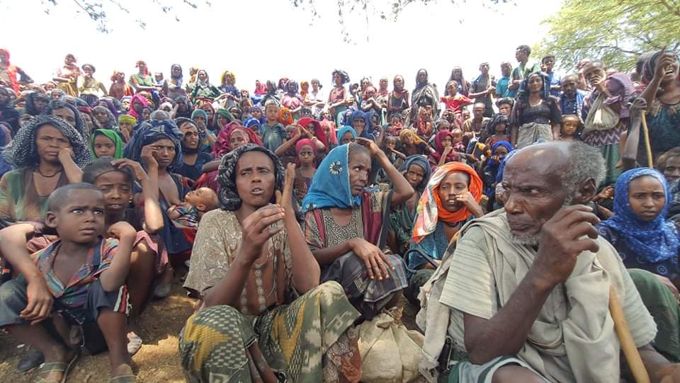 Amanuel Walelign (@AmanuelWalelig2) | Twitter