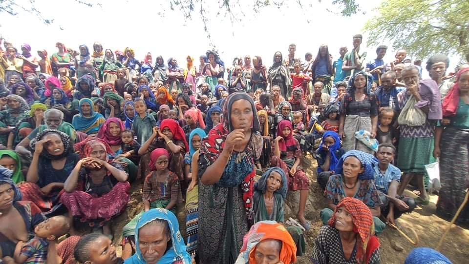 Amanuel Walelign (@AmanuelWalelig2) | Twitter