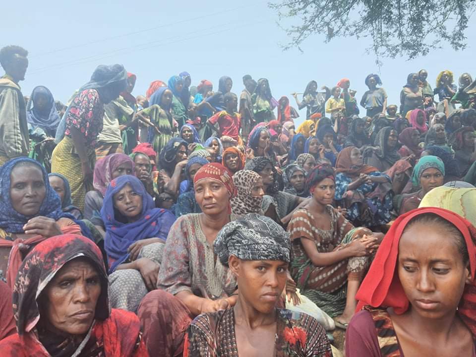 Amanuel Walelign (@AmanuelWalelig2) | Twitter