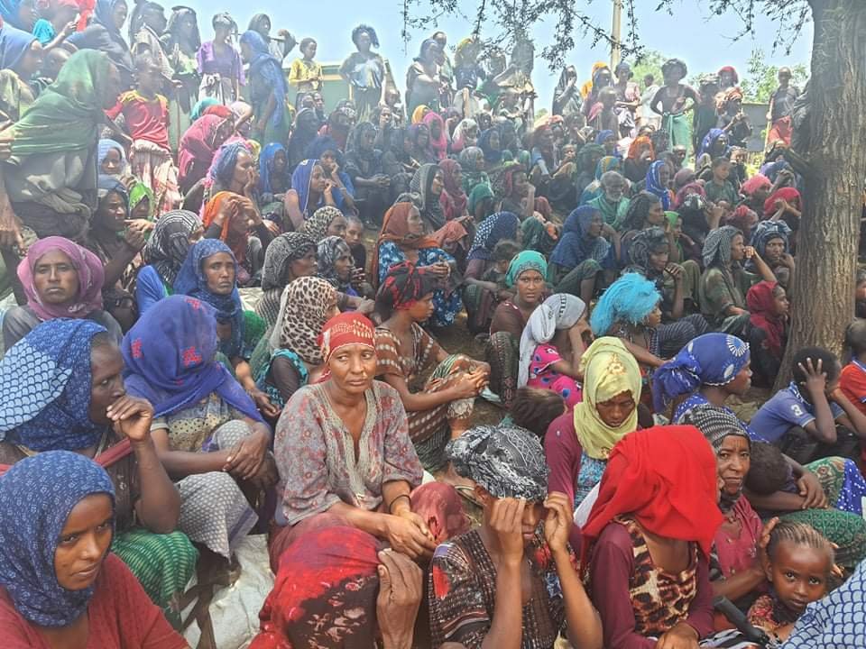 Amanuel Walelign (@AmanuelWalelig2) | Twitter