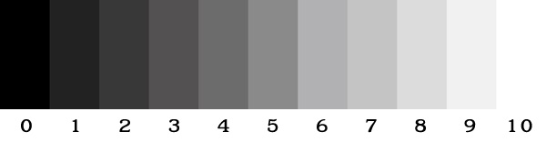 Grayscale Chart 5 Step