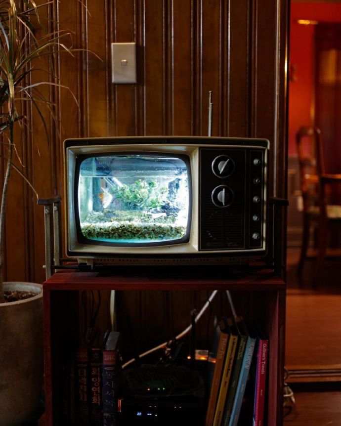 an interesting combination concept between fish tank and television 📺🐟🐠 ...