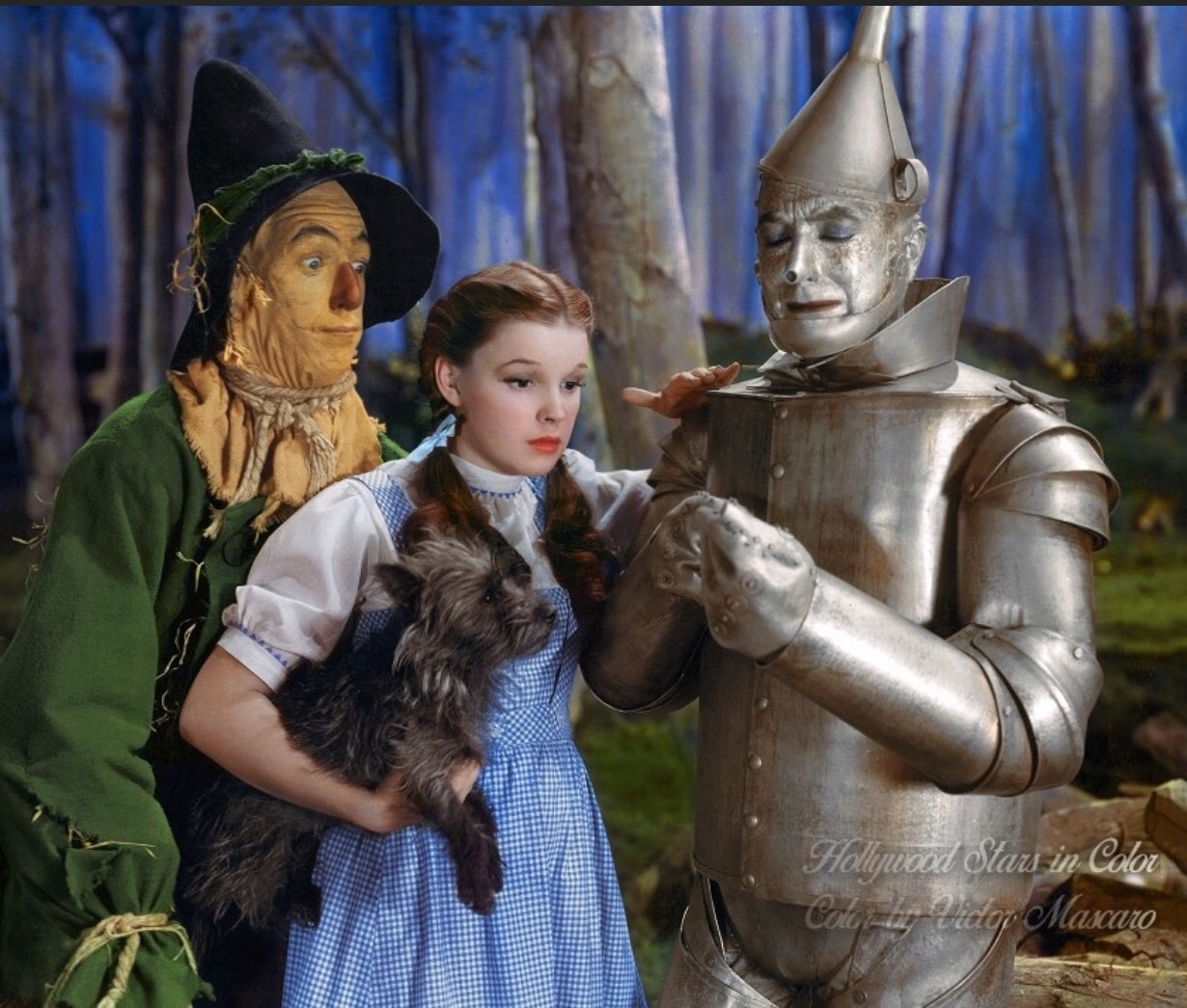 Judy Garland Wizard Of Oz Color