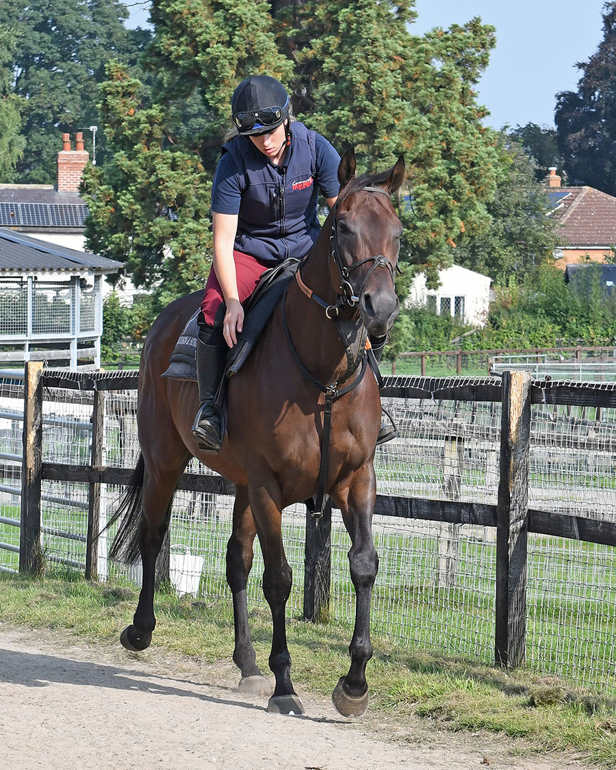 News | Brian Ellison Racing