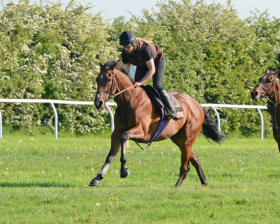 News | Brian Ellison Racing