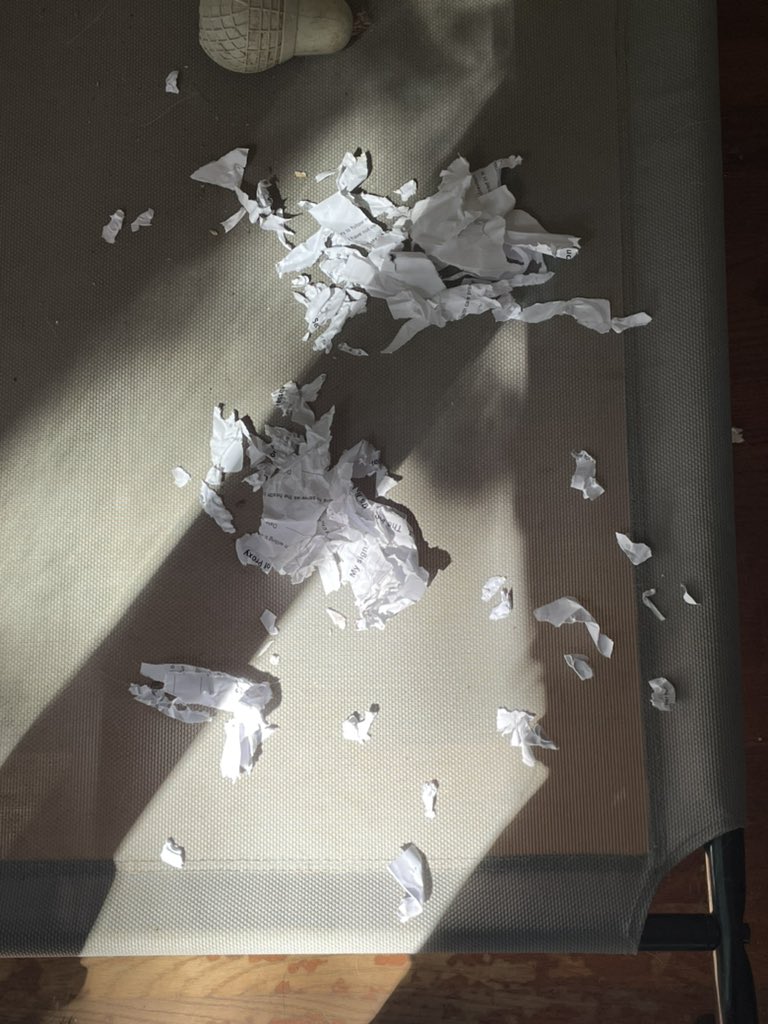 Mark Sunga's Instagram, Twitter & Facebook on IDCrawl