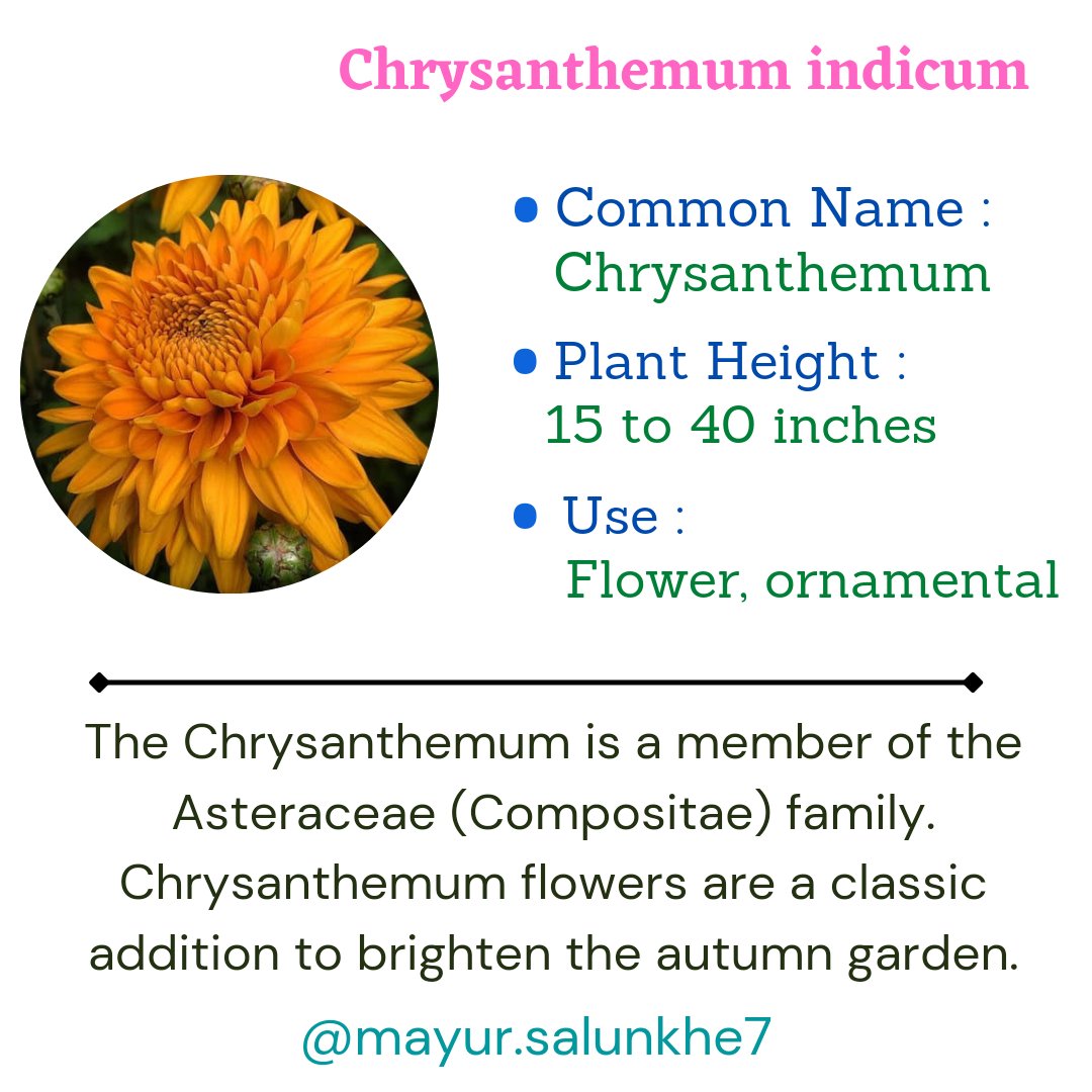 Nasa Clean Air Study
