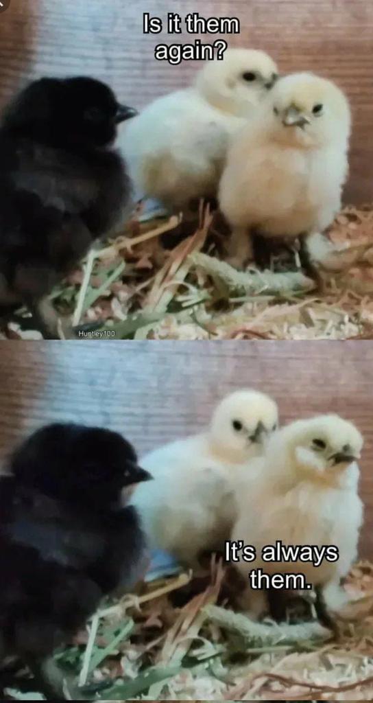 Amazon Punto de Recogida Sheeeeeeeeeeit: Página 2 - Reflotes