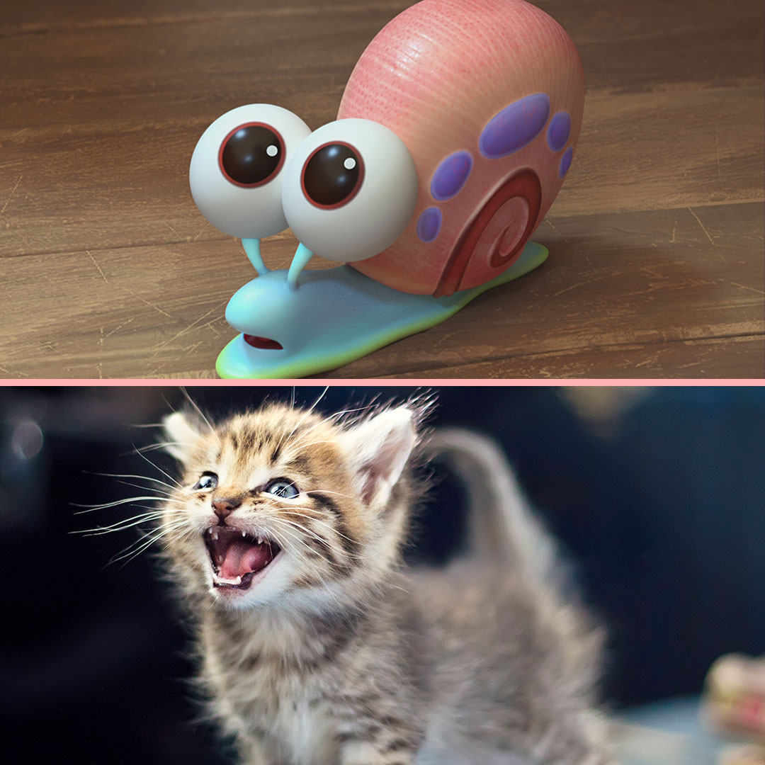 Spongebob Gary As A Baby