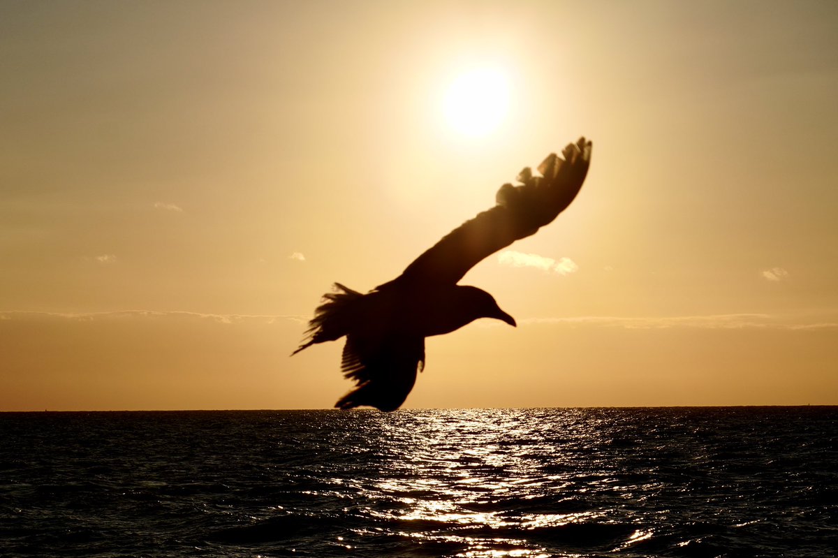 Duizenden handtekeningen voor 'ban super trawler' - Visserij.nl