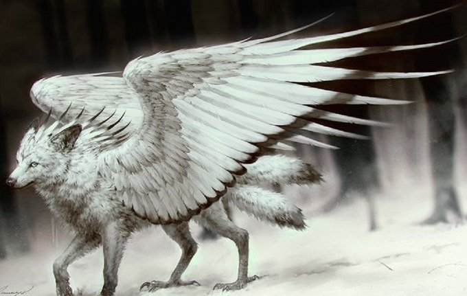 Real Winged Wolves