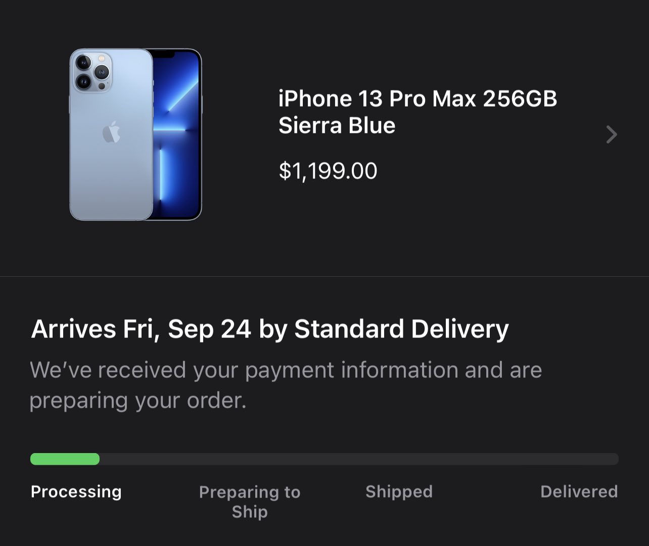 Pro Sierra Max 256Gb iPhone13 Blue - nimfomane.com