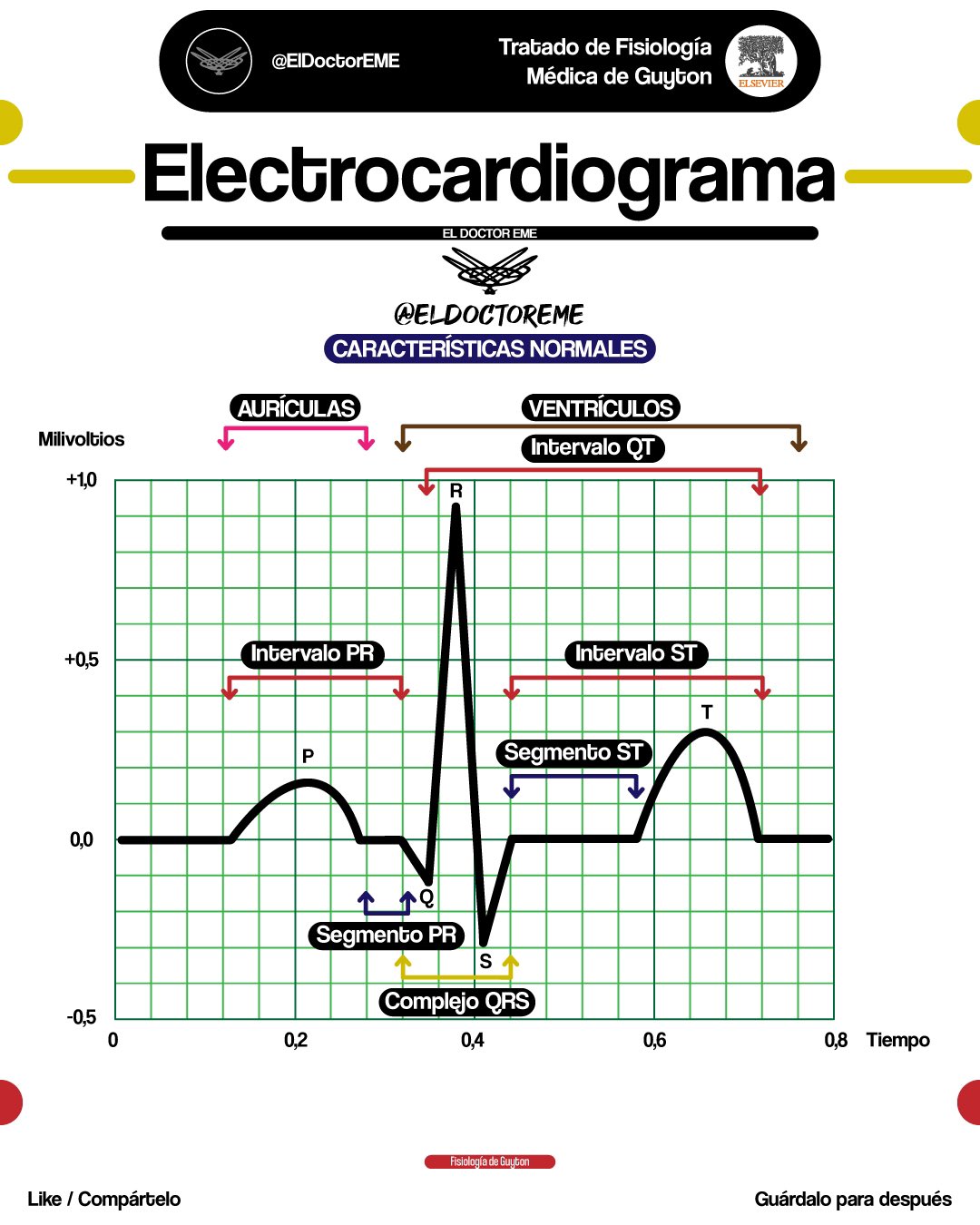 Mauricio Montelongo on Twitter: "ELECTROCARDIOGRAMA •Ondas •Complejos •Segmentos •Intervalos ...
