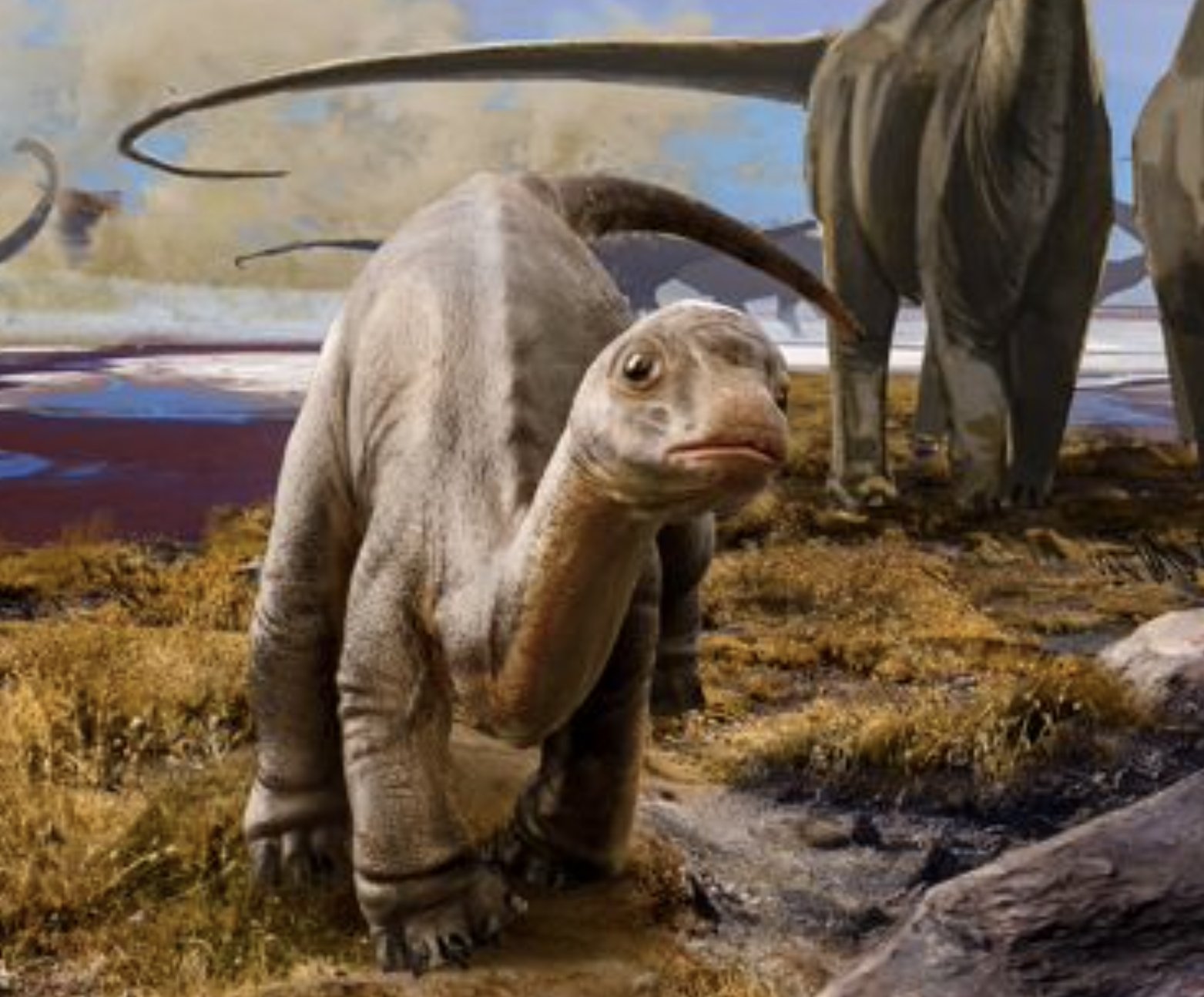 Baby Diplodocus Walking With Dinosaurs