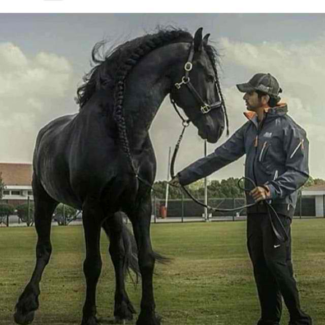 Ritchie Lapiad (@LapiadRitchie) | Twitter