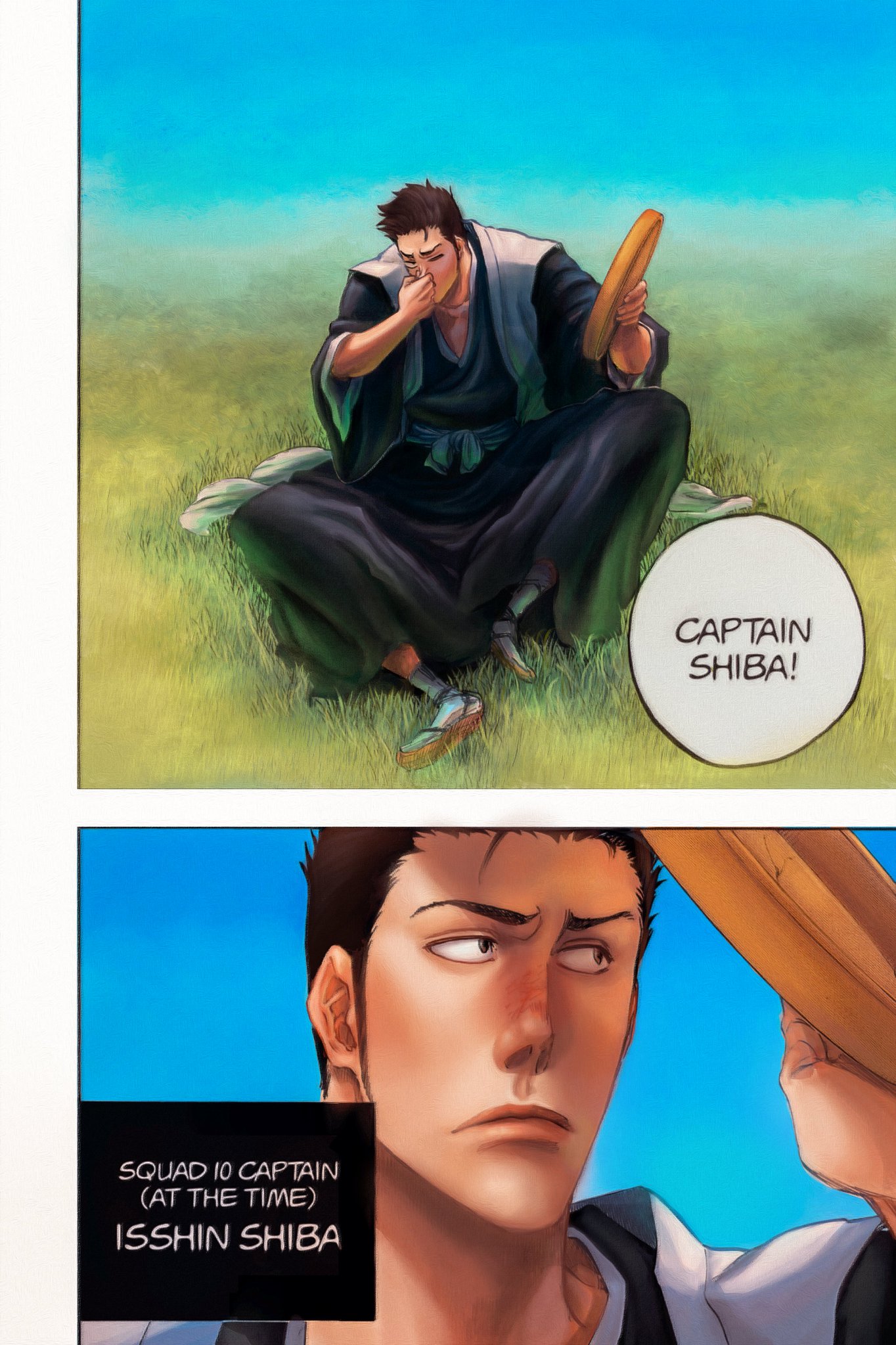 Isshin Kurosaki Captain