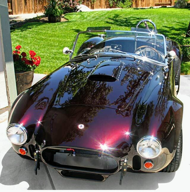 Candy Black Cherry Paint