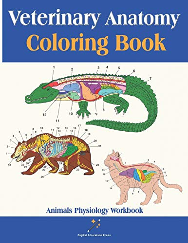 Animal Anatomy Coloring Pages