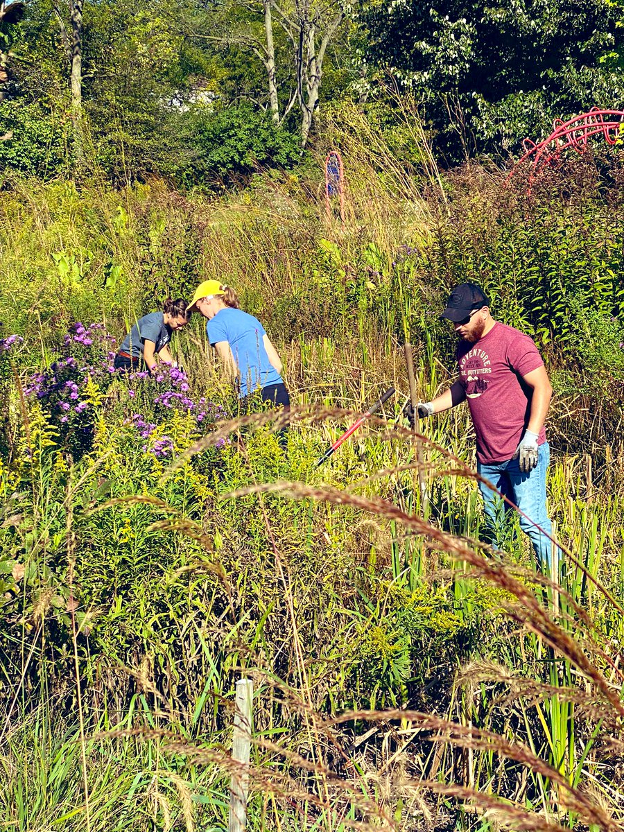 Lex.Wells@0634 (@wells_lex) | Twitter