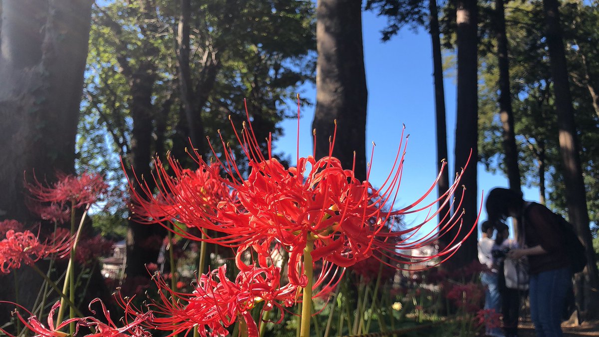 ichi_one(@ichi_ichi_one) - Twilog