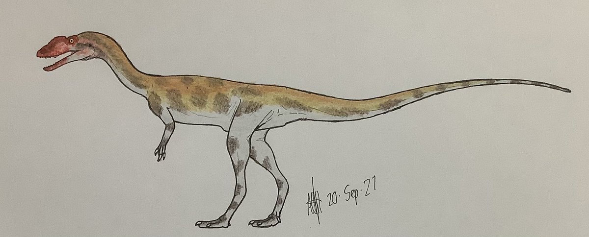 Megapnosaurus