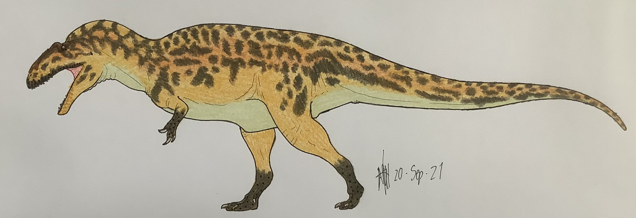 Acrocanthosaurus Skeleton