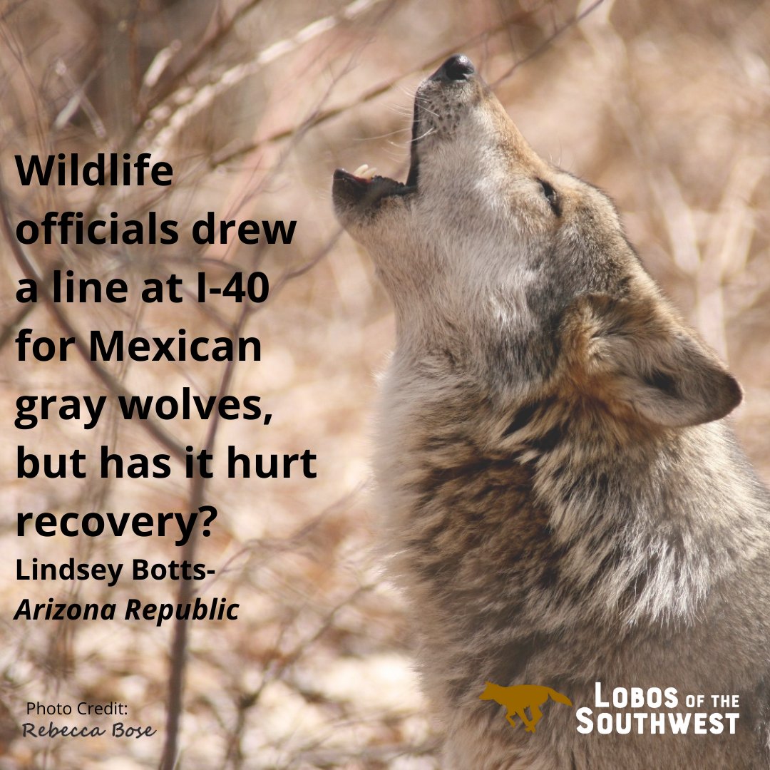 Wolf Quotes And Poems